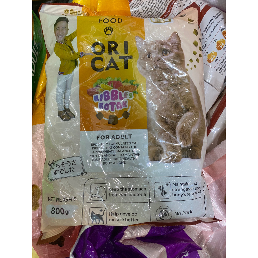 Jual ori cat 800 gram | Shopee Indonesia