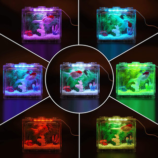 Jual 12x8cm Akuarium Ikan Cupang Akrilik Aquarium Mini Acrylic Aquarium ...
