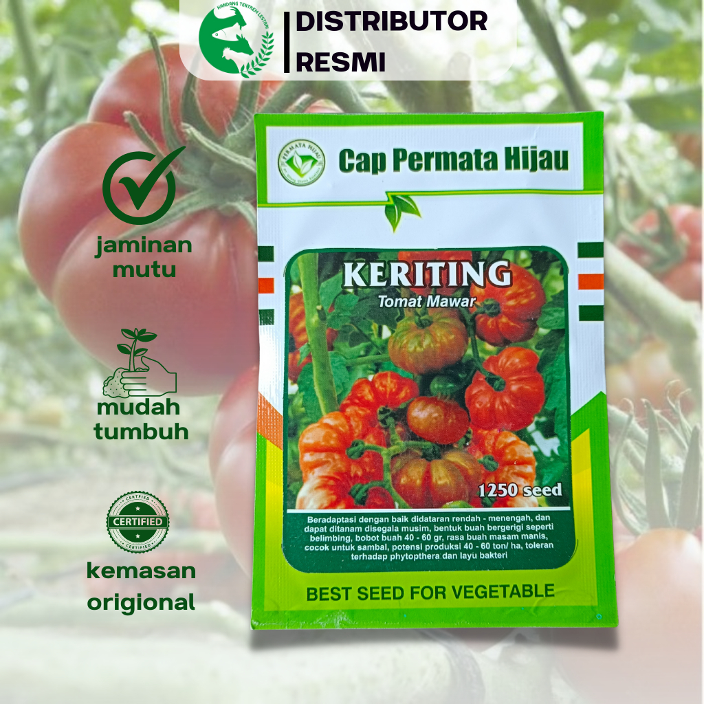 Jual Benih Tomat Mawar KERITING 1250 Biji ASLI Cap PERMATA HIJAU ...