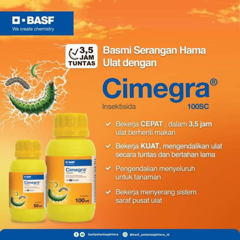 Jual Insektisida cimegra 50ml,100ml ready pestisida Obat Pertanian obat ...