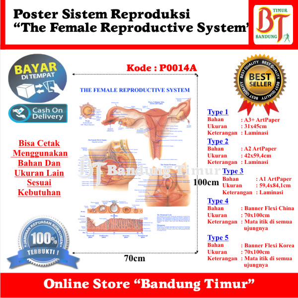Jual POSTER SISTEM REPRODUKSI THE FEMALE REPRODUCTIVE SYSTEM | Shopee ...