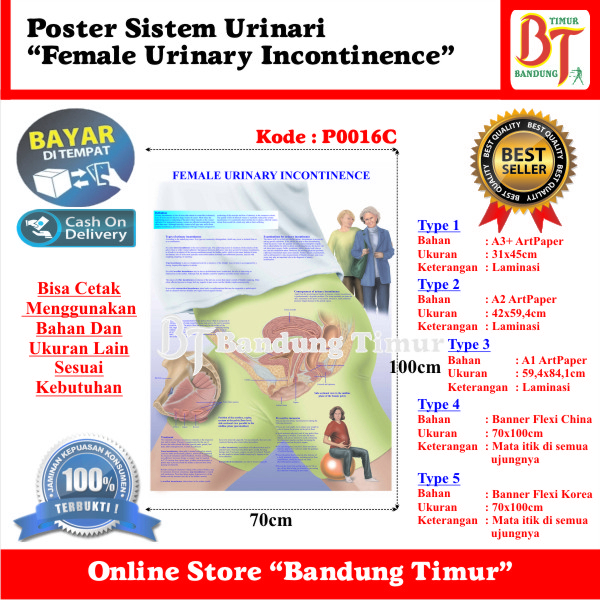 Jual POSTER SISTEM URINARI FEMALE URINARY INCONTINENCE | Shopee Indonesia