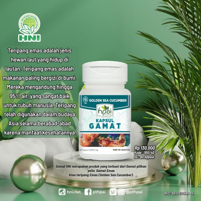 Jual Gamat kapsul by HNI | Shopee Indonesia