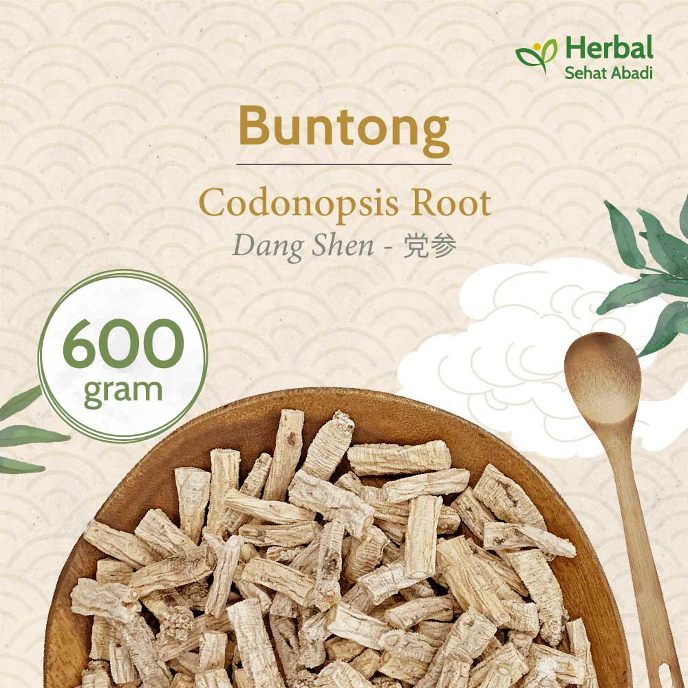Jual Tong Sem 600 gram / Dang Shen (党参) / Tong Sim / Codonopsis Root ...