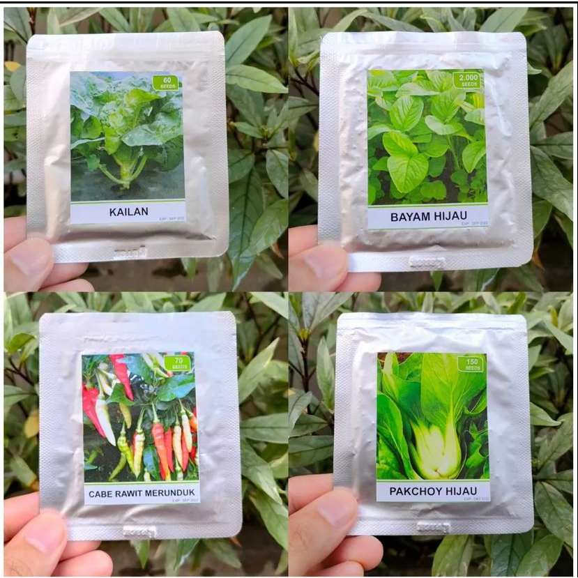 Jual Benih Bibit Sayuran sayur bayam kangkung selada sawi cabai tomat ...