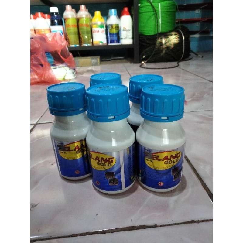Jual HERBISIDA ELANG GOLD 480 SL 200 ML | Shopee Indonesia
