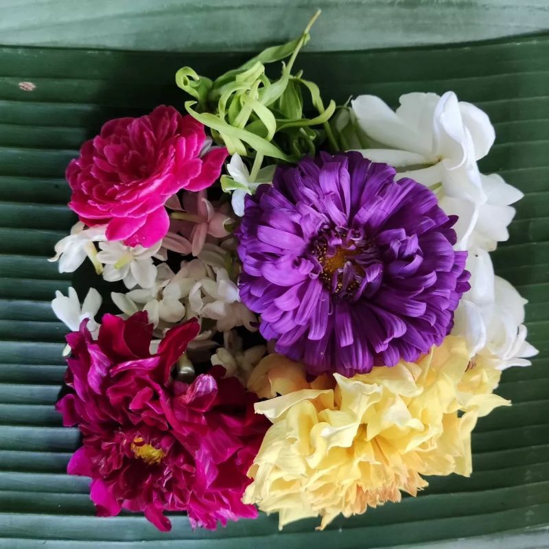 Jual Bunga Rampe Kembang Rampe Segar | Shopee Indonesia