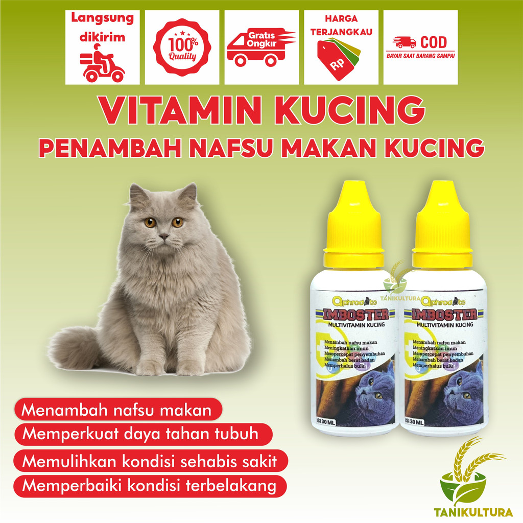 Jual Vitamin Kucing Gemuk Dan Bulu Lebat Anti Rontok Penambah Nafsu ...