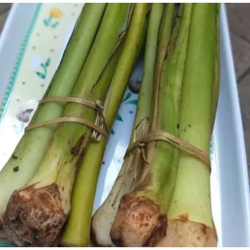 Jual batang talas lompong sayur satu ikat ready selalu tinggal ceckout ...