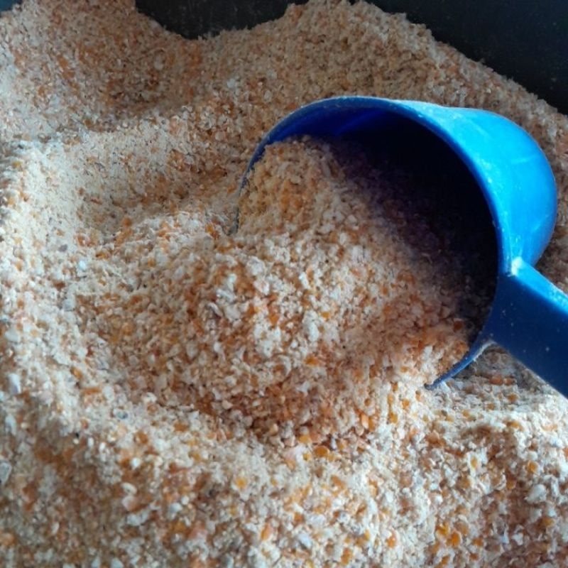 Jual Jagung Selip pakan hewan 200 gr | Shopee Indonesia