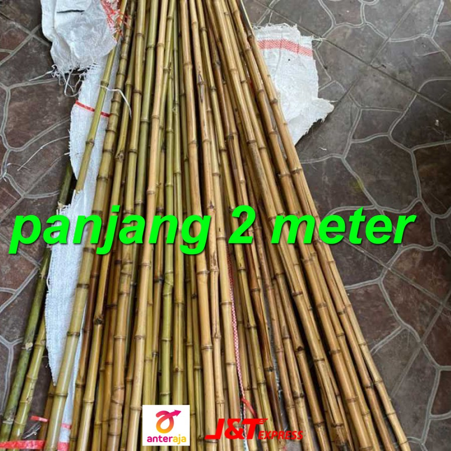 Jual batang bambu lurus panjang 200cm atau 2 meter | Shopee Indonesia
