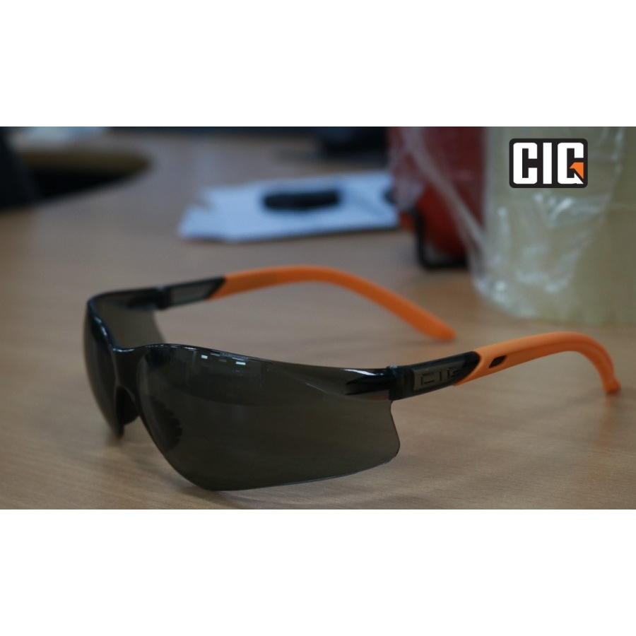 Jual Kacamata Safety ANGLER Anti Fog /Safety Glass CIG Original ...