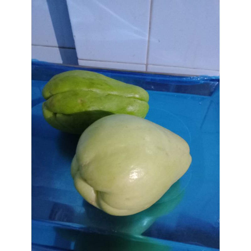 Jual Labu Siam Besar 500 gram | Shopee Indonesia