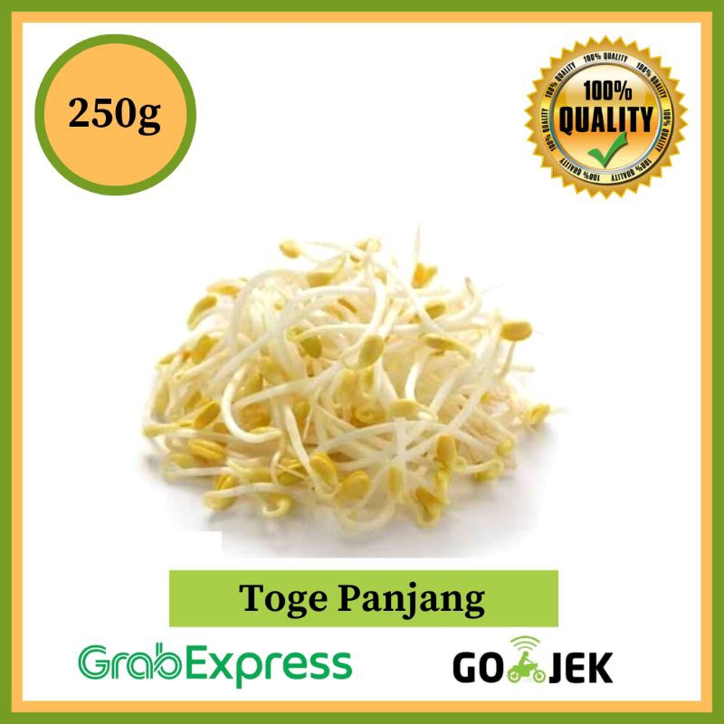 Jual Sayur Segar Toge Panjang 250 gram kecambah | Shopee Indonesia