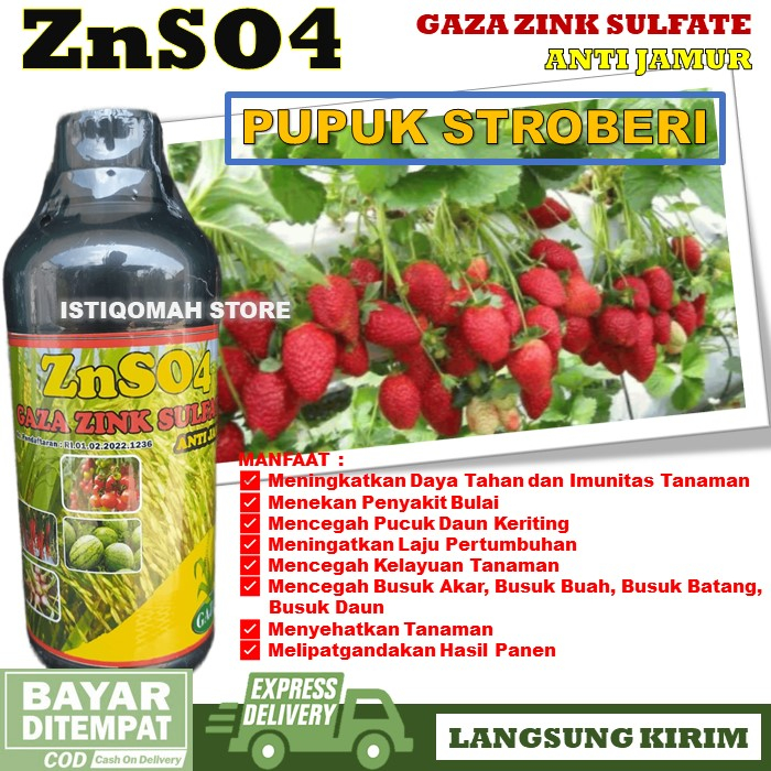 Jual Pupuk Stroberi Terbaik ZNSO4 GAZA 500ML Obat Semprot Mencegah ...