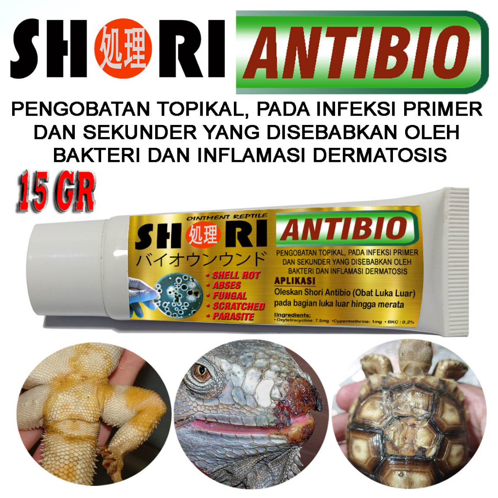 Jual SHORI ANTIBIOTIK SALEP OBAT SHELL ROT ABSES SULCATA REPTIL ANTI ...