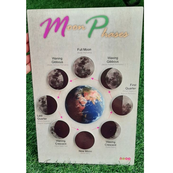 Jual Moon Phase, Fase bulan, Puzzle Tata surya, SAINS, Puzzle magnet ...