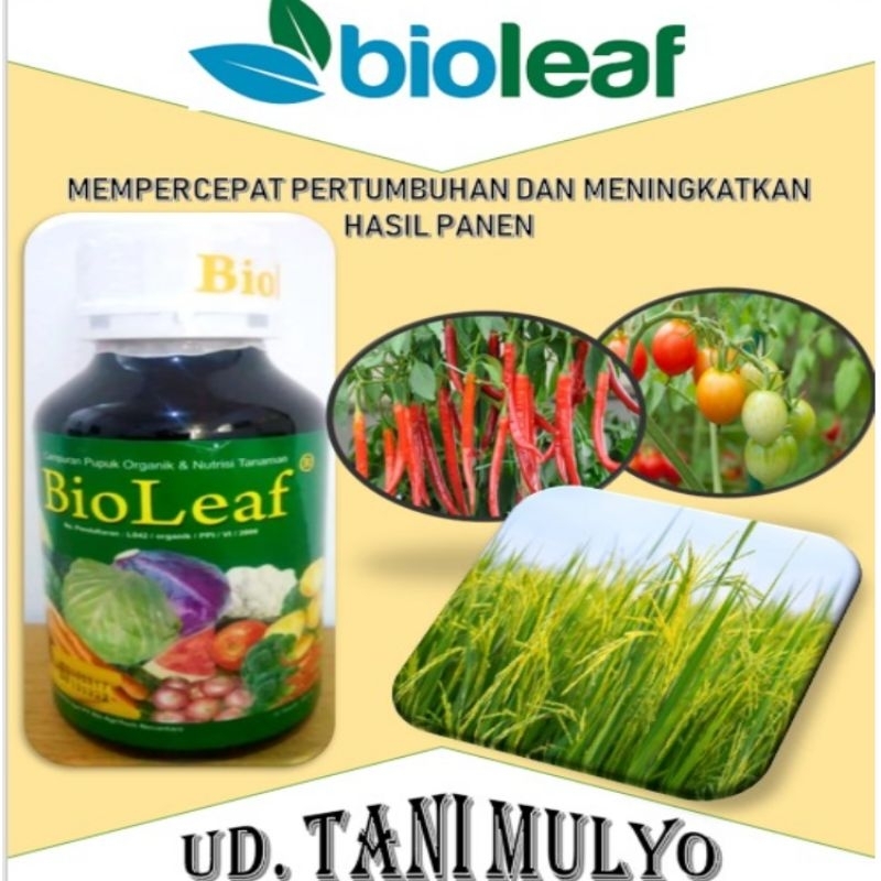 Jual BIOLEAF ZPT DAN PUPUK LENGKAP 450 ML | Shopee Indonesia