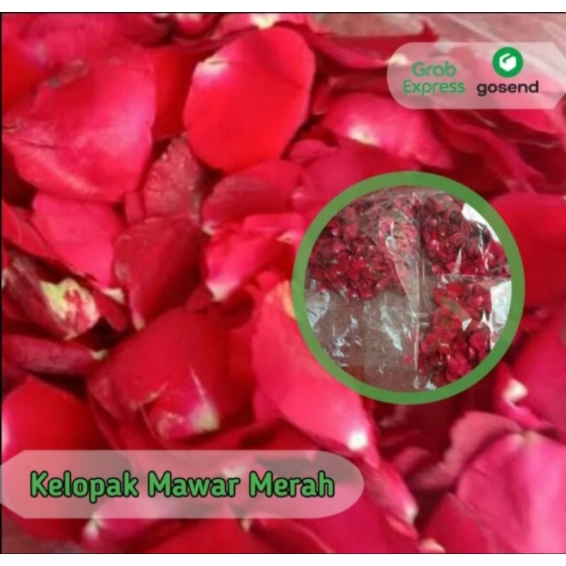 Jual kelopak mawar merah tabur asli dan segar | Shopee Indonesia