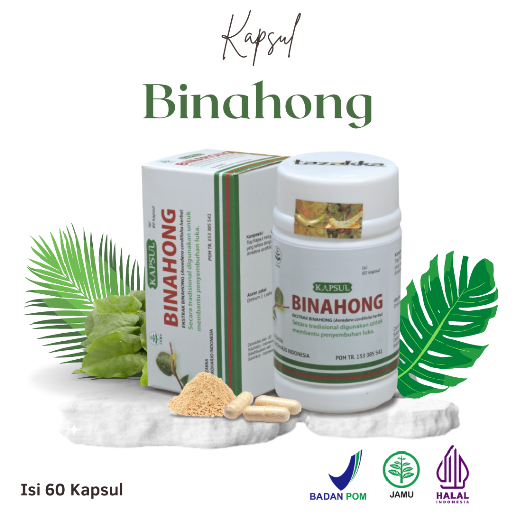 Jual Daun Binahong Asli Original Ekstrak Herbal Tazakka Official Store 60 Kapsul Obat Luka Pasca ...