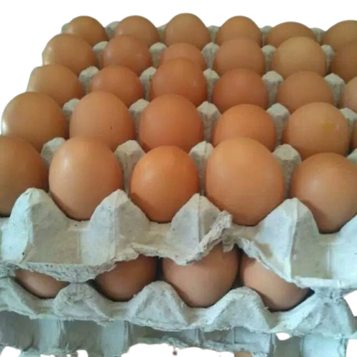 Jual telur ayam 30pc | Shopee Indonesia