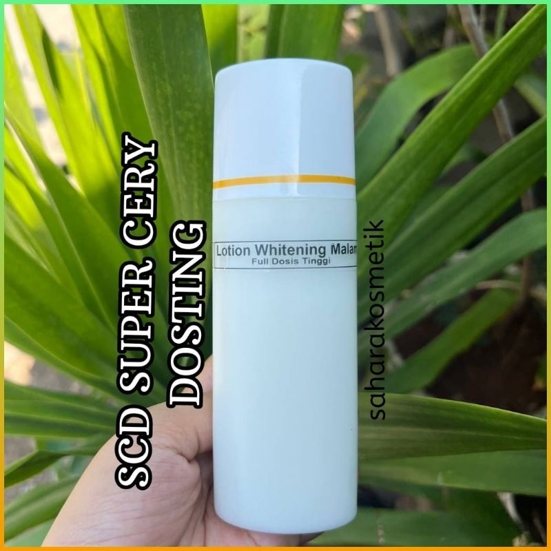Jual HB ANGGUR SCD SUPER CERRY DOSTING PEKAT HDPE K9 WARNA KUNING ...