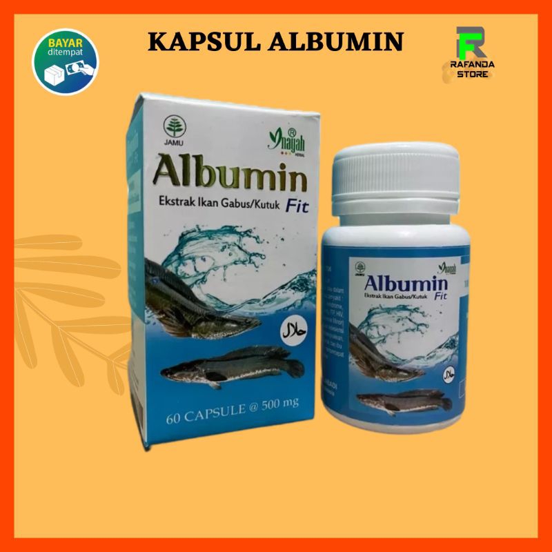 Jual Albumin Fit Kapsul Ekstak Ikan Gabus 60 Kapsul | Shopee Indonesia