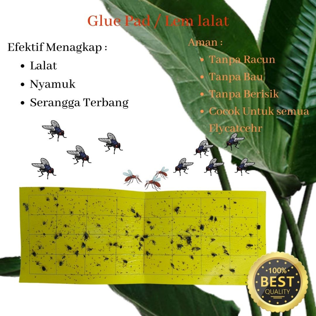 Jual Lem Lalat |Glue Pad |Glue Board |Fly Catcher Ukuran 45x17 cm ...