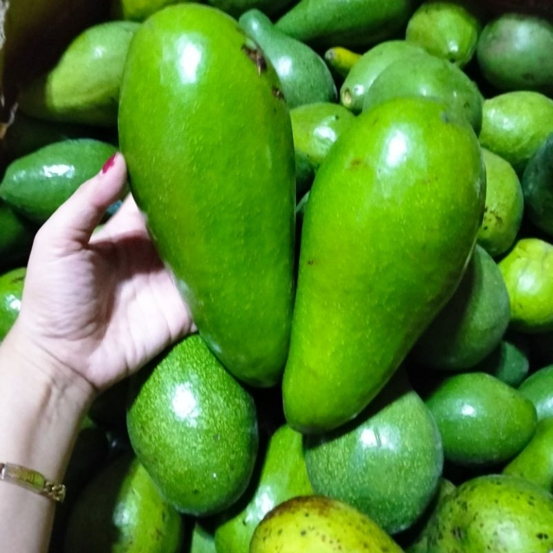 Jual alpukat mentega super ukuran 1kg | Shopee Indonesia