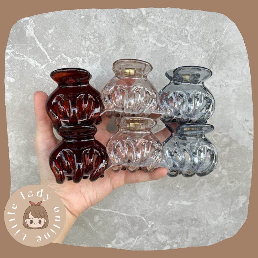 Jual Jedai 5cm Cakar 5 ASH GREY BROWN Jepit Rambut Hair Accesories ...