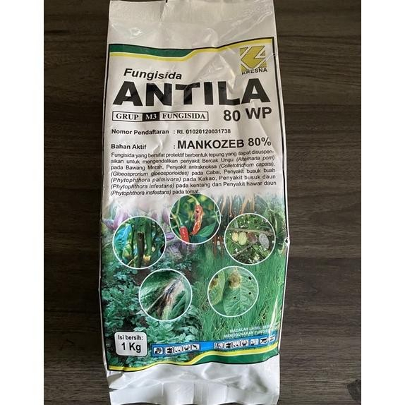 Jual antila 80wp 500gr - 1kg | Shopee Indonesia
