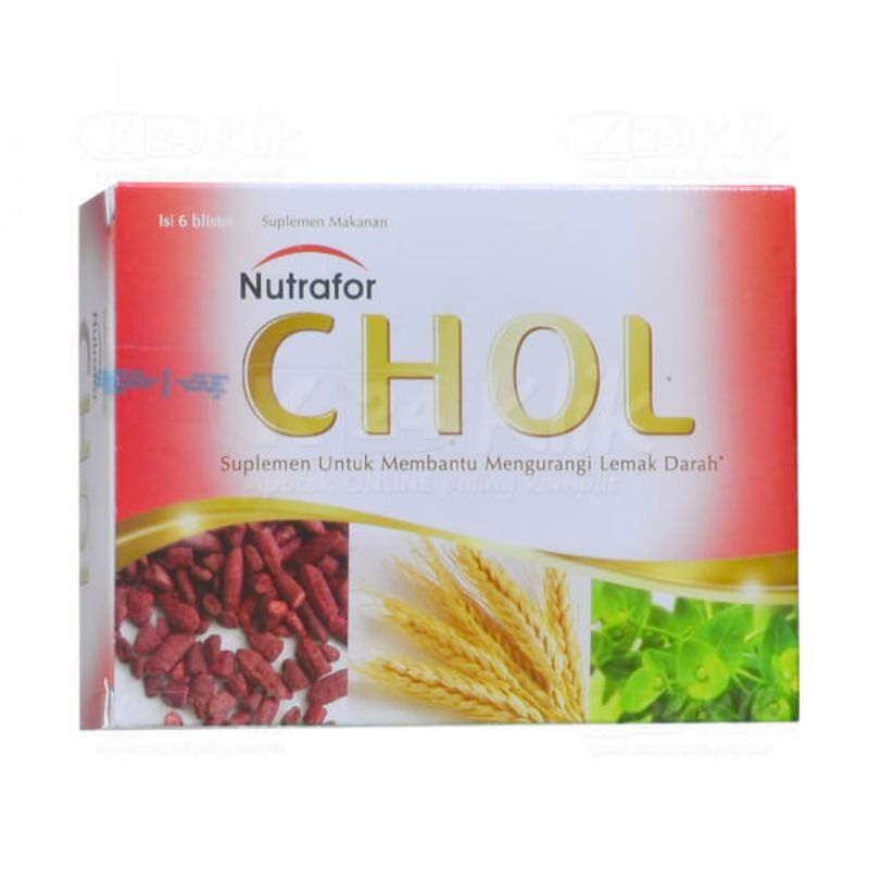 Jual nutrafor chol / isi 60 tablet / suplemen untuk menjaga kolesterol ...