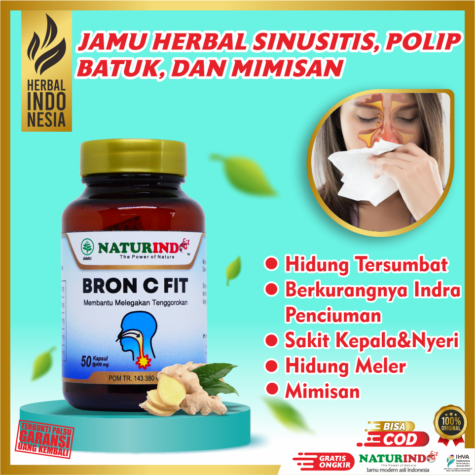 Jual Obat Sinusitis Polip Mimisan Hidung Paling Ampuh Tanpa Operasi Herbal Sinusitis NATURINDO ...