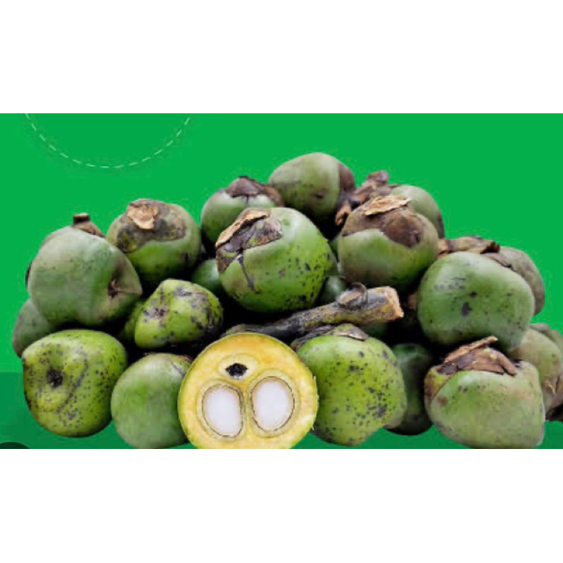 Jual Buah aren segar buah aren muda utuh 1 kg-az | Shopee Indonesia