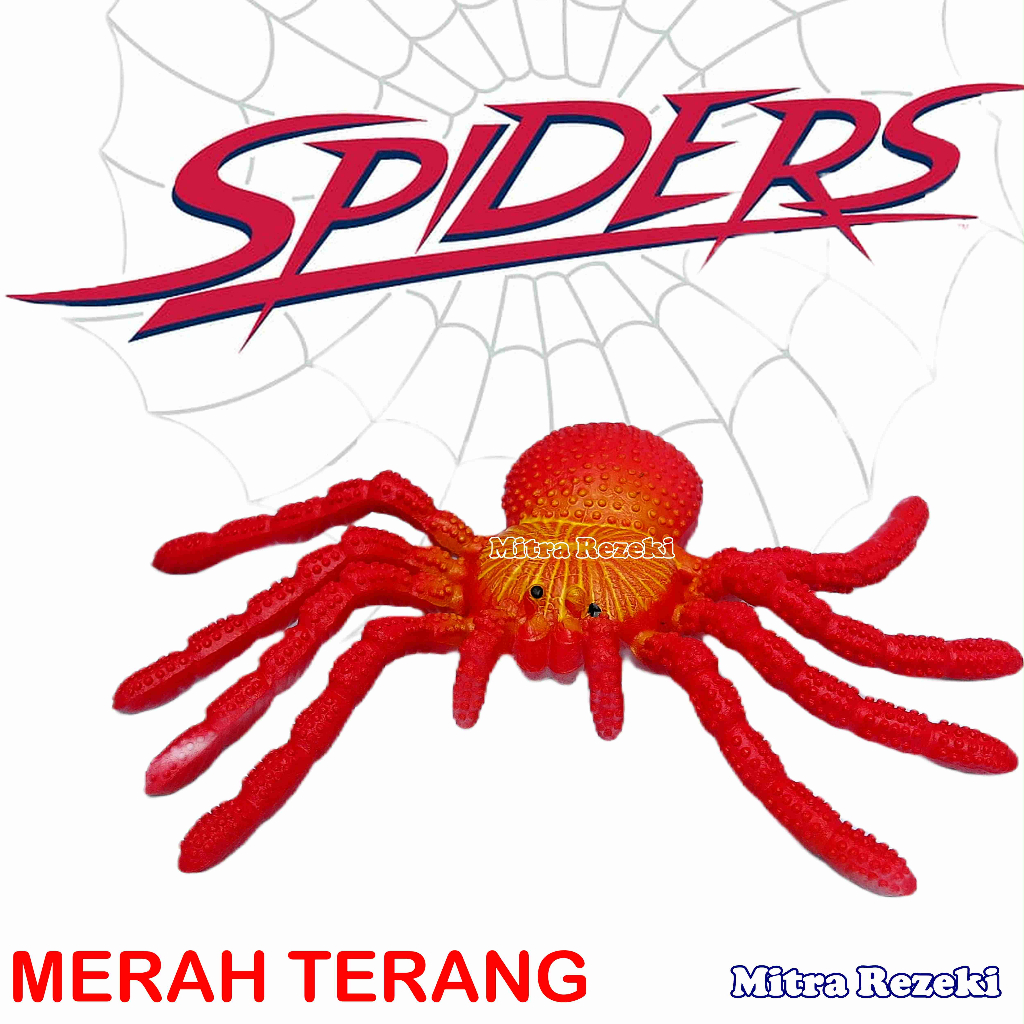 Jual SPIDER MAINAN LABA LABA KARET | Shopee Indonesia
