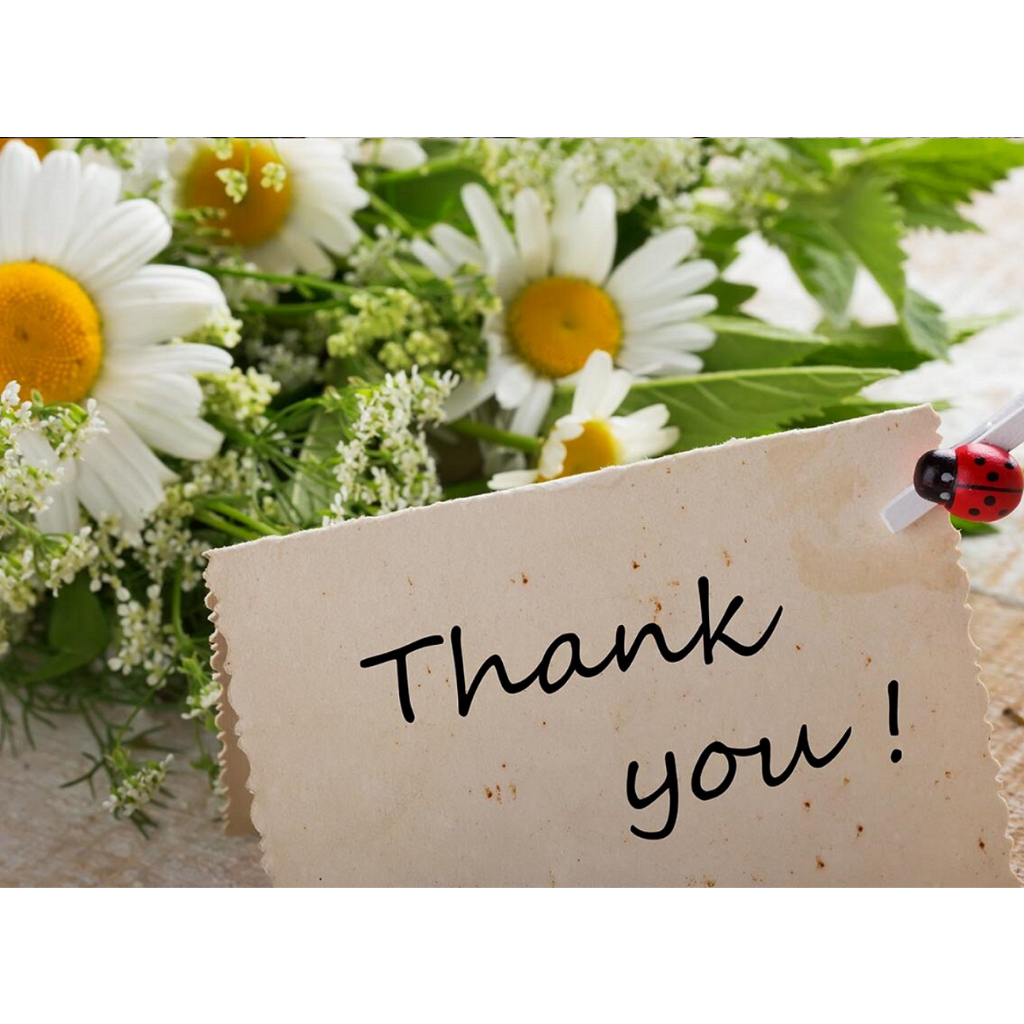 Jual RCandy Kartu Ucapan Greeting Card Gift Card Kado | Shopee Indonesia