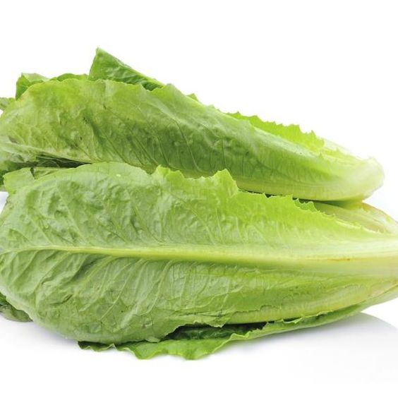 Jual Romaine Lettuce 1Kg | Shopee Indonesia