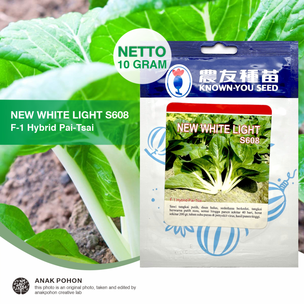 Jual (1 PACK - 10 GRAM) Benih Sawi NEW WHITE LIGHT S608 Pai Tsai ...