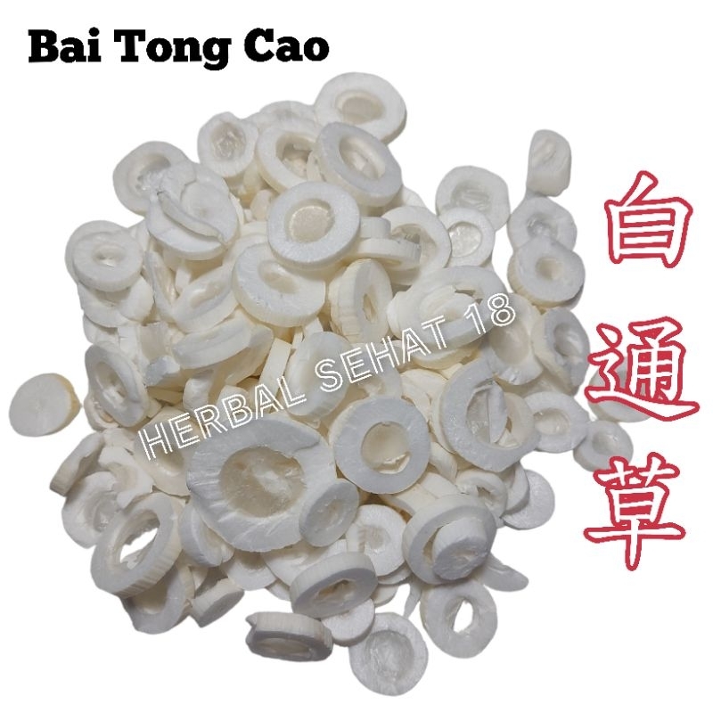 Jual Bai Tong Cao 600 Gram 白通草 Baitongcao Rice Paper Plant Tetrapanax Papyriferum Bek Tong Cao ...