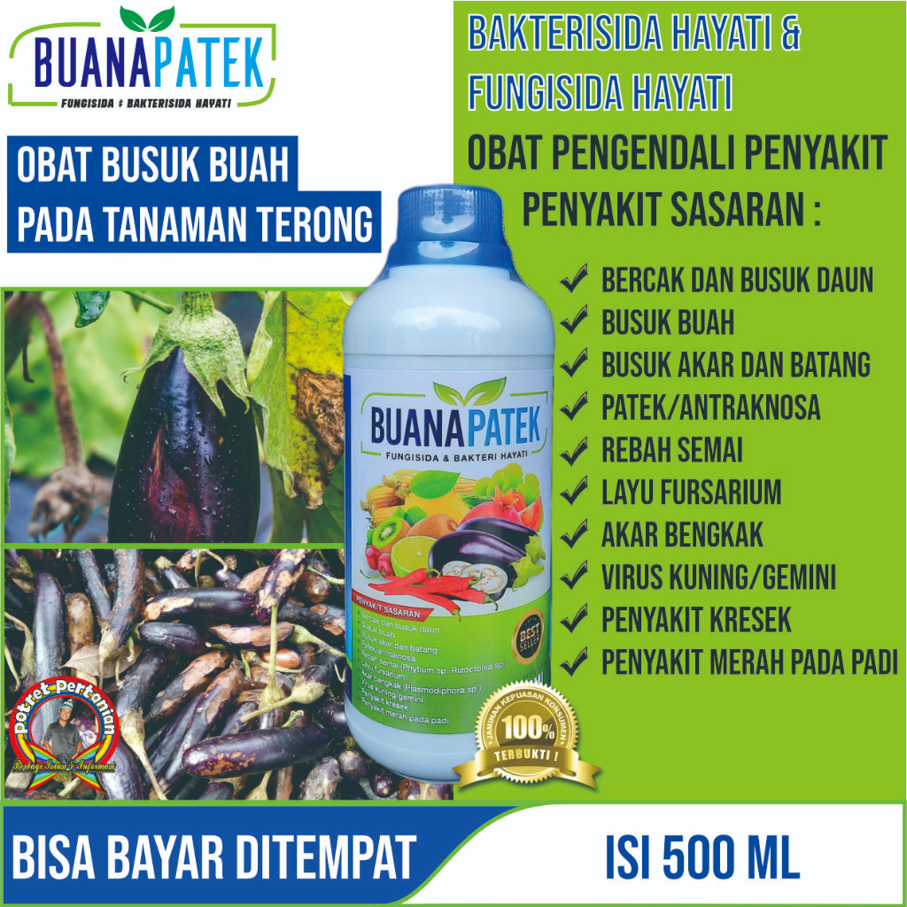 Jual Pupuk Semprot Buah Terong Paling Bagus BUANAPATEK isi 500 ML ...