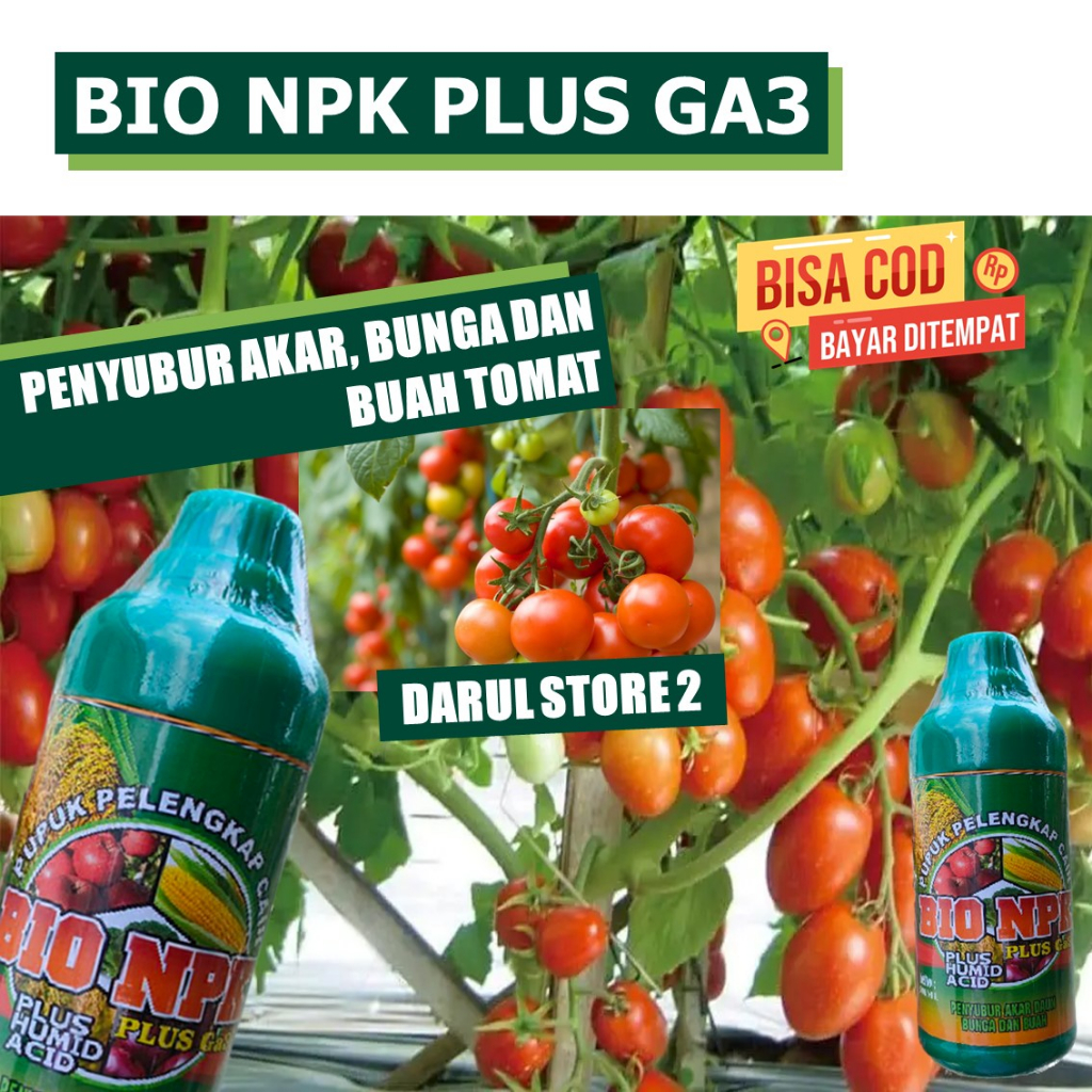 Jual PUPUK PEMBESAR BUAH TOMAT SUPER LEBAT CEPAT BERBUAH NPK Gaza isi 500 ml Pupuk Semprot ...