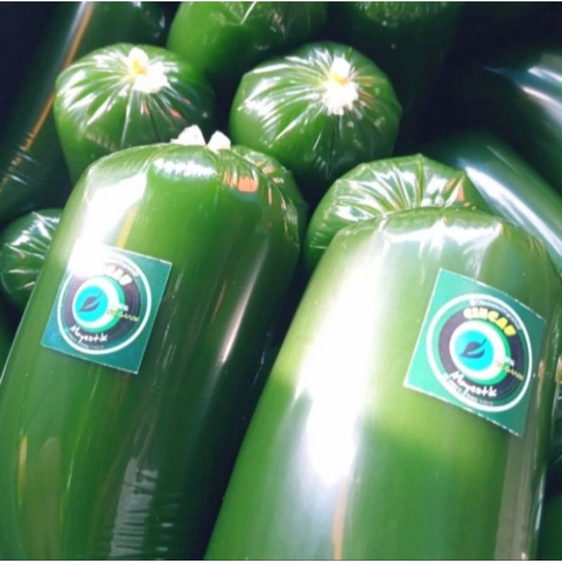 Jual XMASTER CINCAU HIJAU KEMASAN PLASTIK 1KG PAKET ISI 10PCS DAUN ...