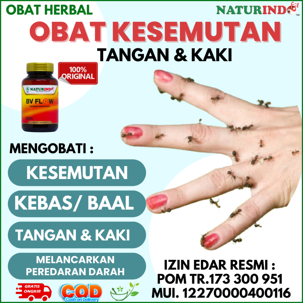 Jual Obat Kesemutan Tangan Dan Kaki Kebas Baal Kram Herbal Bv Flow ...