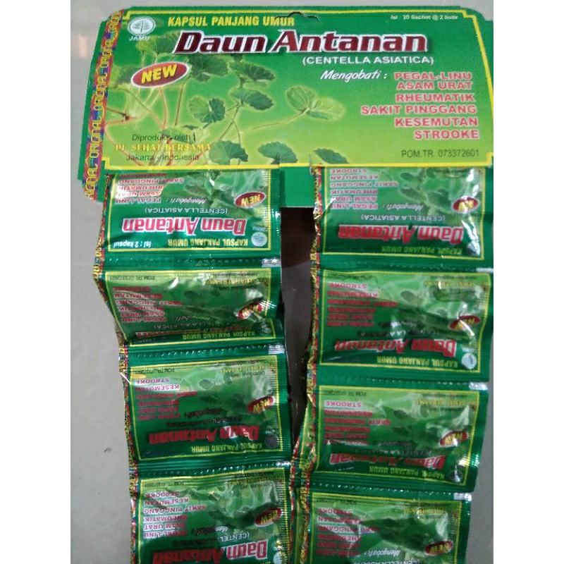 Jual paket 50 hanger kapsul daun antanan original | Shopee Indonesia