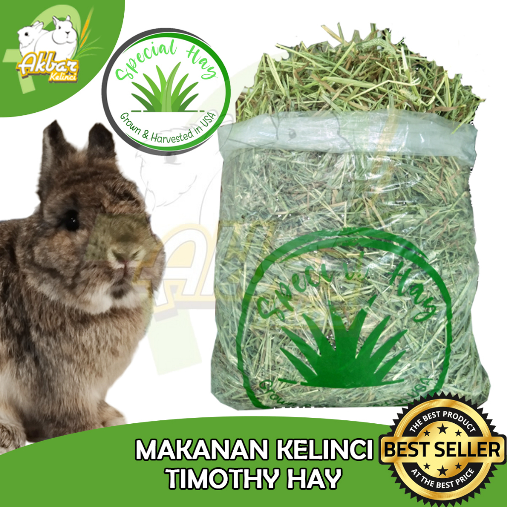 Jual Makanan Kelinci Marmut Rumput Timothy Hay 1 kg Special Hay ...