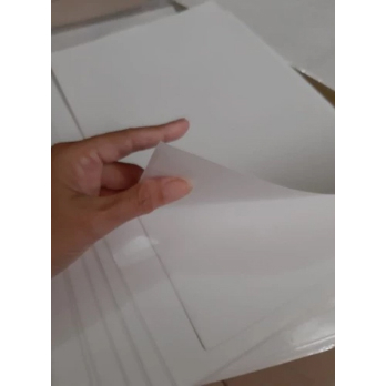 Jual sticker pecah telur bahan mentah (putih) | Shopee Indonesia