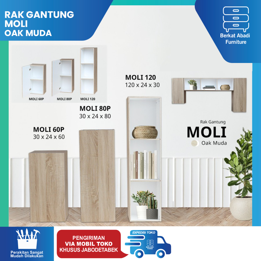 Jual Rak Gantung Rak Tembok Rak Dinding Minimalis MOLI | Shopee Indonesia
