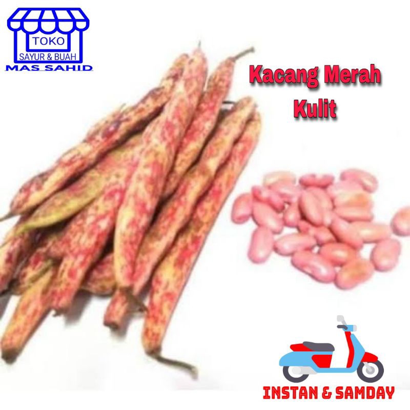 Jual Kacang Merah Kulit Baru Panen | Shopee Indonesia