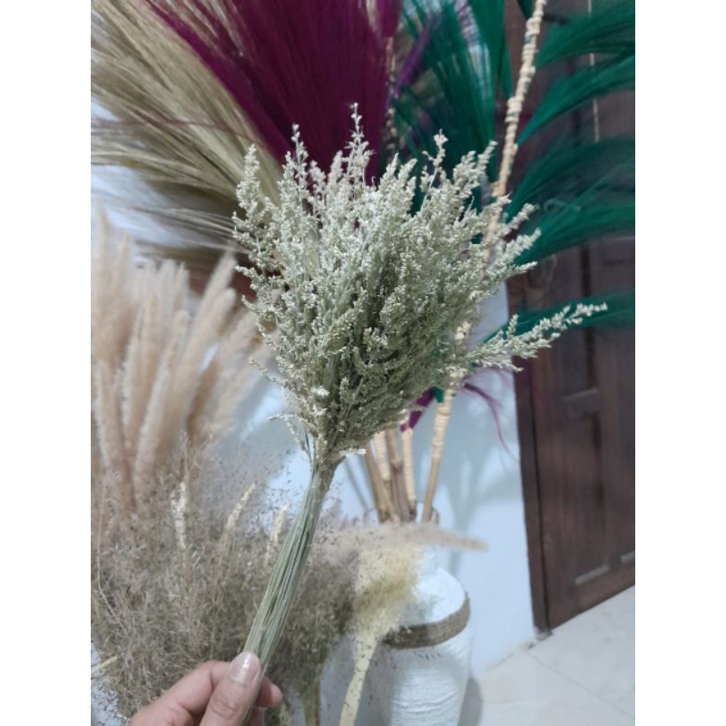 Jual dried flowers bunga rumput jawan / bahan buket / dekorasi rustic ...