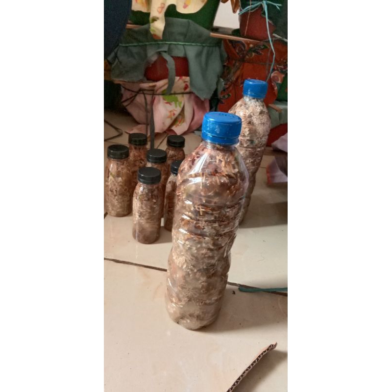 Jual pupuk jakaba 100ml (biang jamur jakaba) biang berkualitas super ...